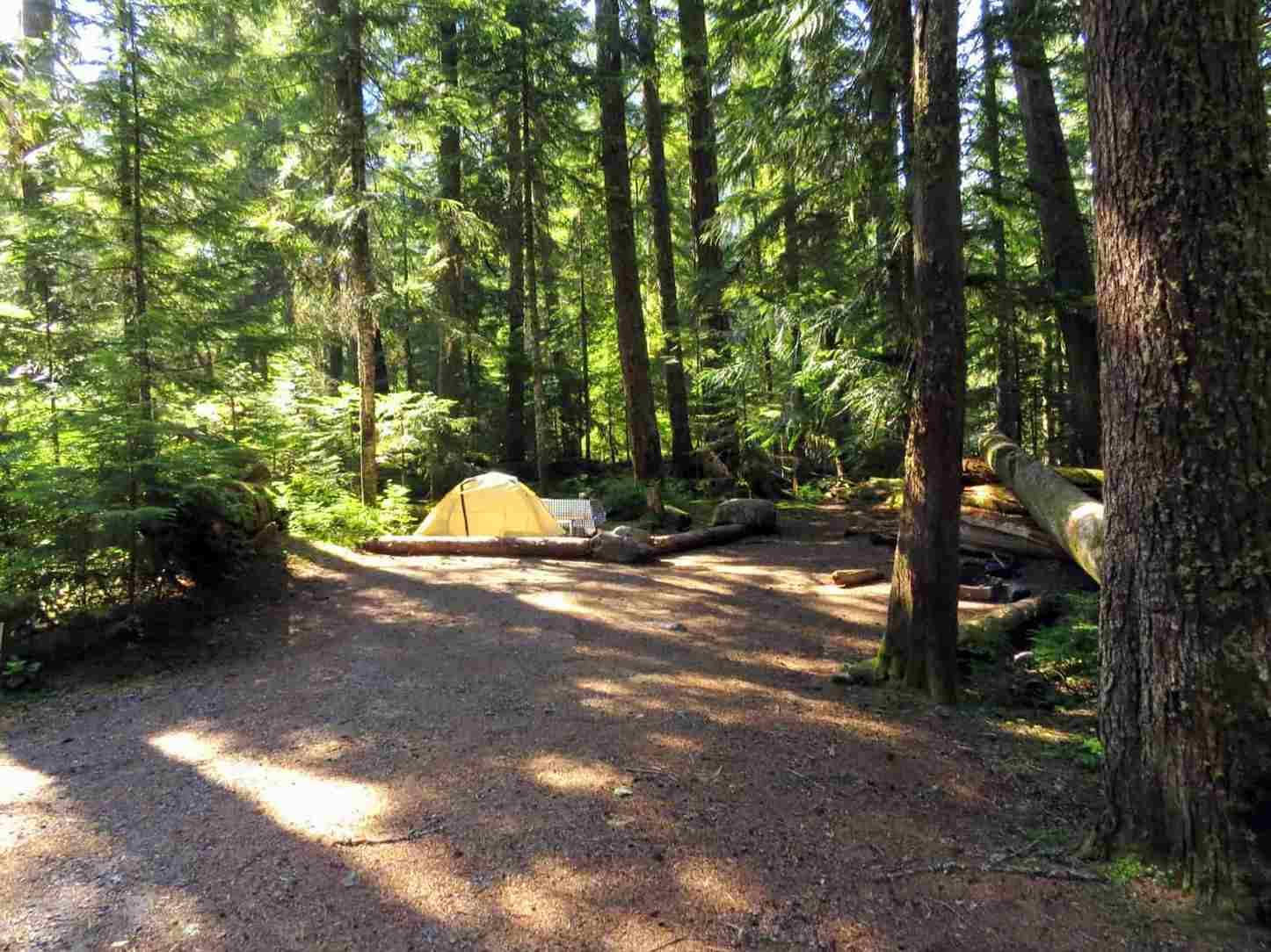 Perfect 7 Day Washington Road Trip Guide to Explore